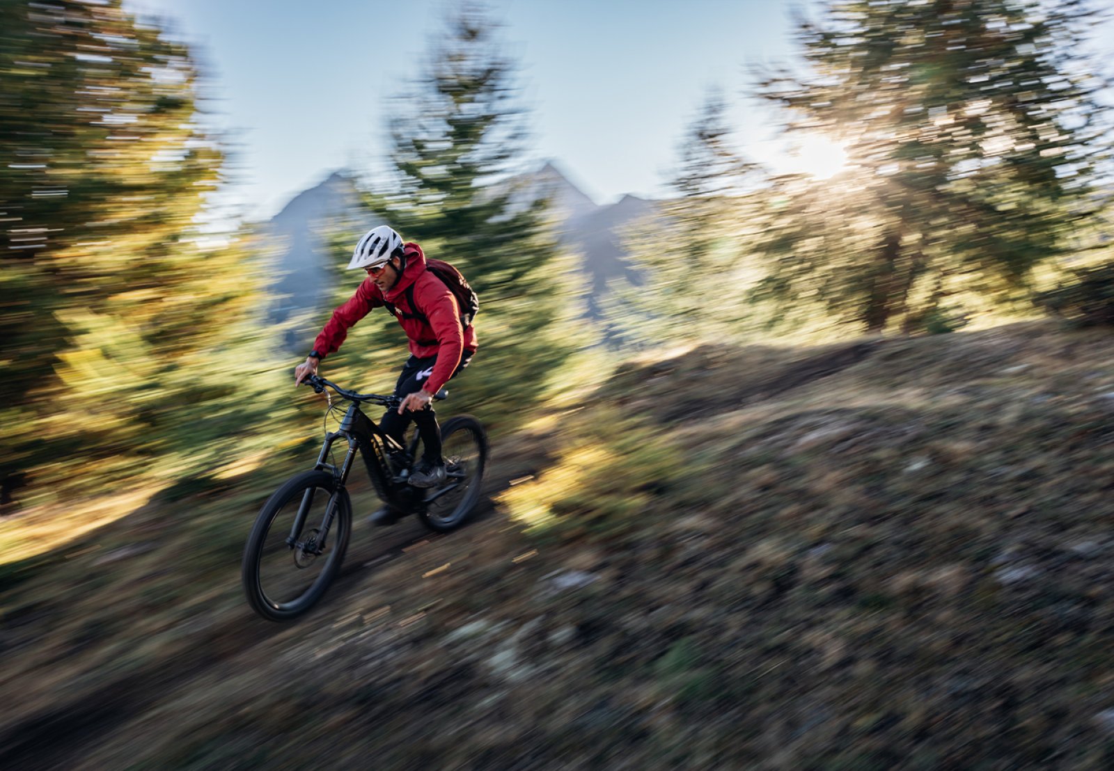 THEOS F70 SH 29/27.5" 820 Wh | Kellys